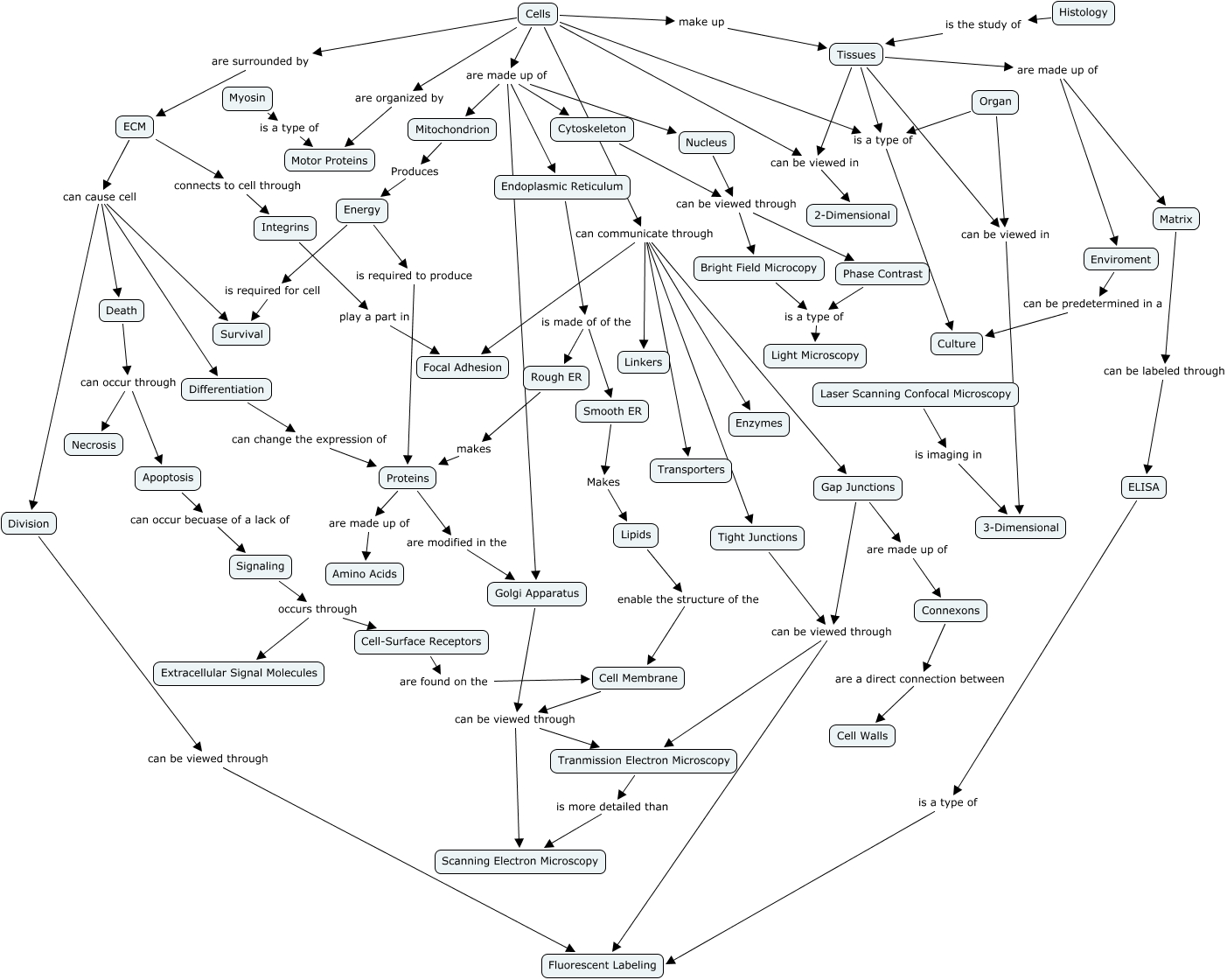 3-cell-biology-concept-map-what-are-the-different-aspects-of-a-cell